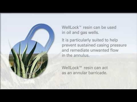 WellLock Resin - Compressive Strength and Elastic Recovery