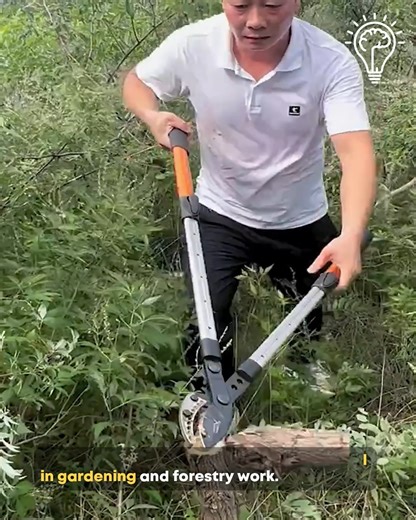 Cut Tree Branches. #treepruning #forestcare #fblifestyle | Gizmo Trends