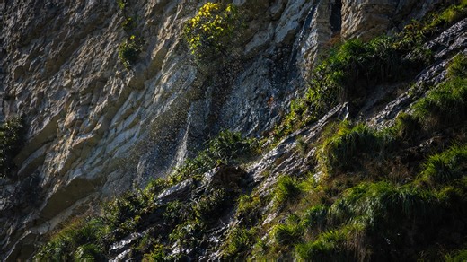 A hidden spring dripping down a sunlit mountain cliff