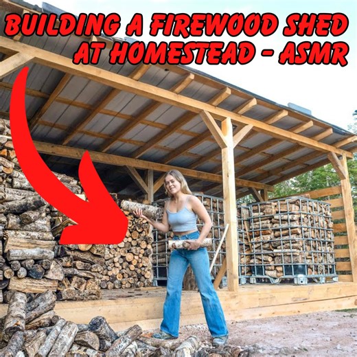 Building a Simple Firewood Shed at Homestead - ASMR 🤫🪵 | Vanwives