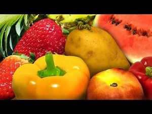 ENIK - everything must pass - music video Rotting Fruit Decomposition Time-Lapse