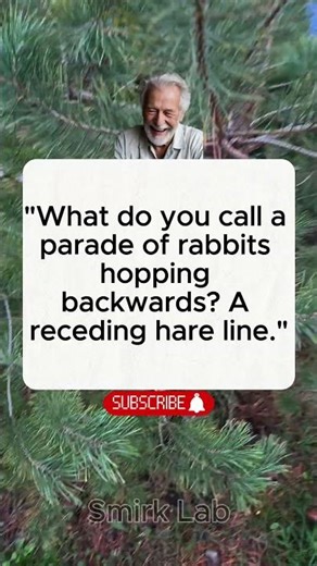 Parade of Rabbits Hopping Backwards 🐇🤣 (Receding Hare Line)