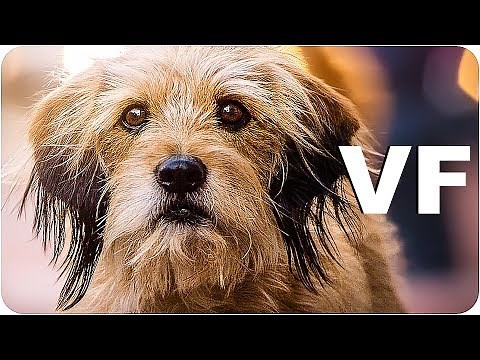 BENJI Bande Annonce VF (2018)