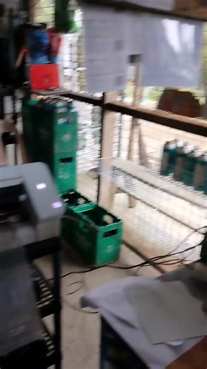 temporary Plate number