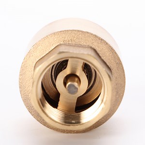 [Hot Item] Brass Check Valve 1/2-2" Non Return Valve with Spring Plastic/ Brass Core