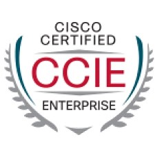 CCIE Enterprise Infrastructure 2021 - Запись онлайн курса
