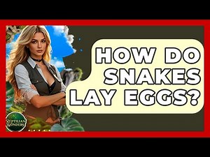 How Do Snakes Lay Eggs? - Reptilian Wonders
