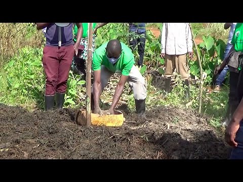 Gukora ifumbire y'imborera mu buryo bw'ikirundo - Compost heap making