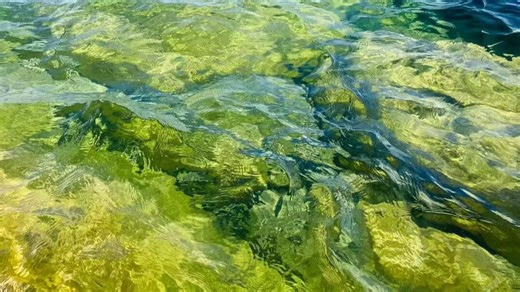 高中化学03.14聚氯乙烯的性质