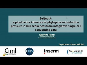 AIRR-C Seminar Series, Jan 30, 2025 - Eglantine Hector, Aix-Marseille University, France