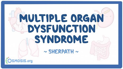 Multiple Organ Dysfunction Syndrome (MODS): Video, Causes, & Meaning | Osmosis