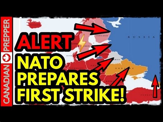 ⚡ALERT: NATO is Getting Ready for SOMETHING BIG | Canadian Prepper VLOG