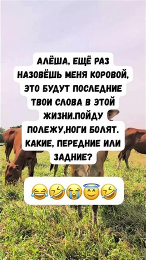 #юмор #мужжена #семья #шутки #анекдоты