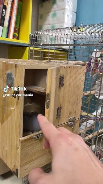 The Hatching#satisfying #tiktokmademebuyit #emotionalsupport #stressrelief #cute