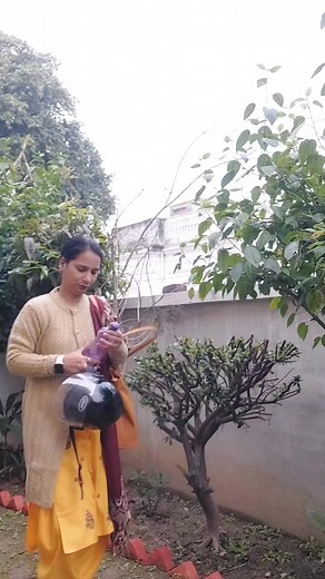 15K views · 64 reactions | My Nose Piercing Experience #minivlog | Recipeana | Facebook