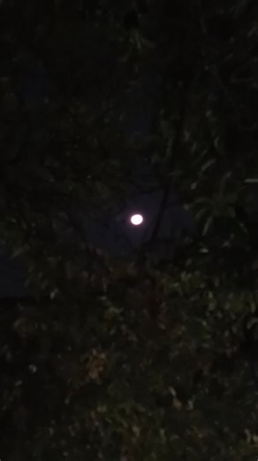 The thinker on Instagram: "Beauty lies in the eyes of the beholder...🤍🤍❤️❤️✨✨ ================================================= #love #quotesdaily #writer #reader #shakespeare"