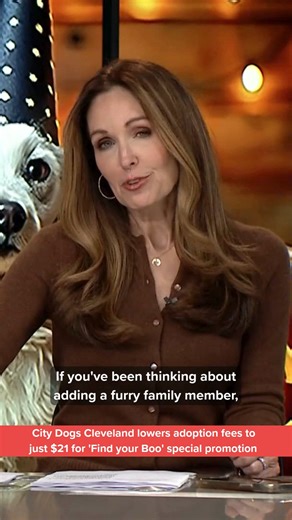 If you have been thinking about adding a furry family member, now is the time. This weekend, City Dogs Cleveland is lowering adoption fees to just $21. | WKYC Channel 3 - Cleveland