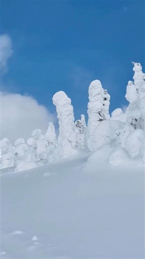 G3 Genuine Guide Gear on Reels