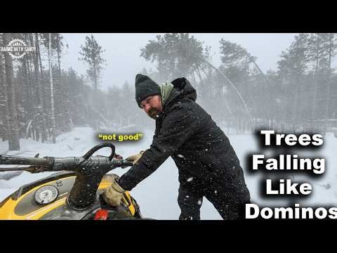 Winter Tree Damage Keeps Piling Up and an Unstoppable Snowmobile