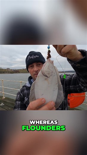 Pier fishing Whitby producing some tiny fish 😂 #thefishlocker #fishtok #fishingtiktoks
