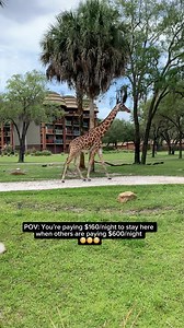 183K views · 2.4K reactions | 漣 How you can too ⤵️ I am still amazed...