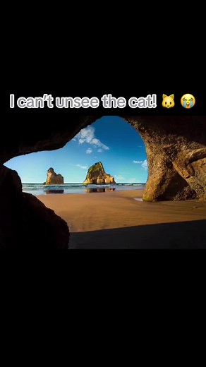 #windows #windows10 ##wallpaper##cave##cat@@Windows