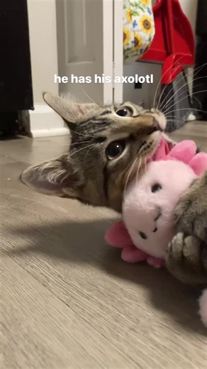 The Fascinating World of Axolotls