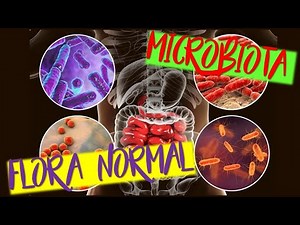 Flora normal o Microbiota y sus Consecuencias
