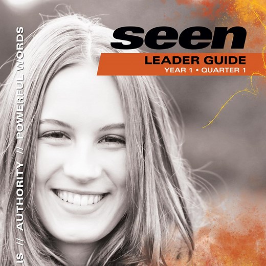 Seen Curriculum - David C Cook