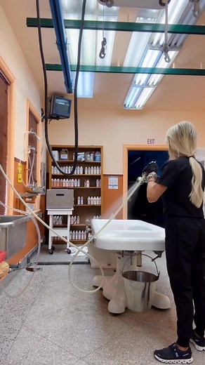 Video 2: After completing each embalming, we follow a meticulous cleaning and sanitation process to ensure the prep room remains in top condition for the next individual in our care. The embalming table is thoroughly disinfected, and all instruments used during the procedure, such as scalpels, forceps, aneurysm hooks, and trocars, are carefully cleaned and sanitized. I take extra care to organize them all neatly on the tray, ensuring everything is in its proper place for efficiency and ease of u