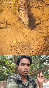 Fish baby safe your😎❤️ #sigmarule #motivational #quotes #inspiration #inspirational #viralreels #fbreels #sigmarule #trendingreels #foryourpage | Rehan Vlogs