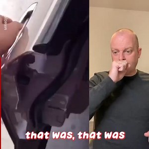 It's like it was made for it... 😍 'The way that phone slides in' 📱 | Tiny Tim's Adventures