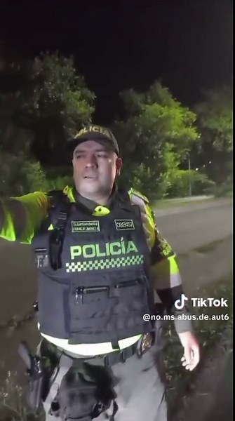 Police Officer Stops Vehicle in Traffic