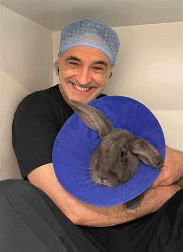 🐇 Part Two 🐇 Blue Peter was a spoilt guest while he was with us, but we are pleased to say the surgery and recovery went well and we were delighted to get him back home to this family and bunny friend, Flumper x | Professor Noel Fitzpatrick
