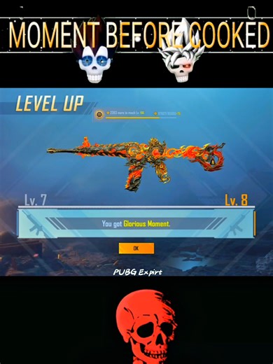 Crimson Skyblade M416 Lv-8 Final form 💀