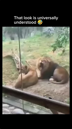 Night Mind Reset (@nightmindreset)’s videos with original sound - Night Mind Reset