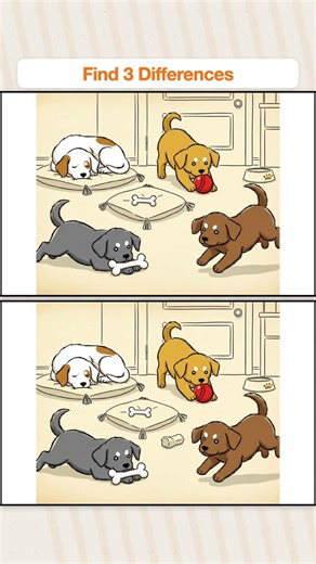 🐕 Find 3 Differences with Puppies! #Shorts