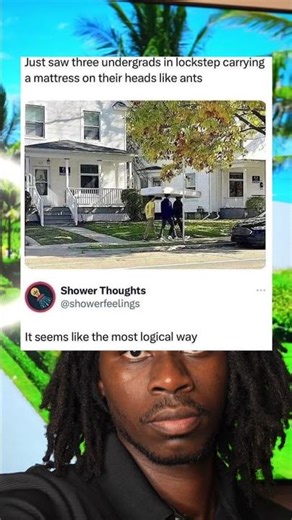 Just saw three undergrads in lockstep carrying a mattress on their heads like