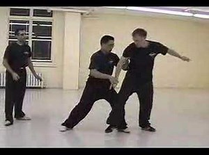 Tai Chi Push-Hands ( Tui Shou, 推手)