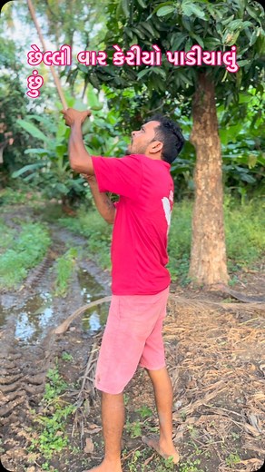 3.2K reactions · 16 shares | છેલ્લી વાર કેરીયો પાડીયાલું છું | Satish Thakor | Facebook