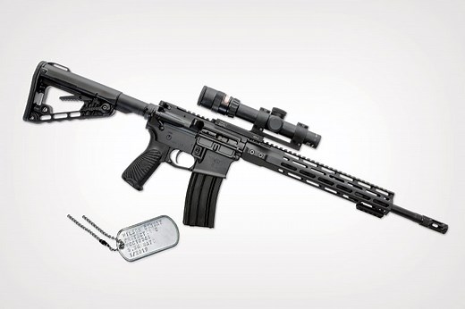 Wilson Combat Protector Review - RifleShooter