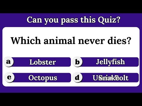 Ultimate General Knowledge Quiz 🧠 | 30+ MCQs to Test Your Brain | GK Questions & Answers