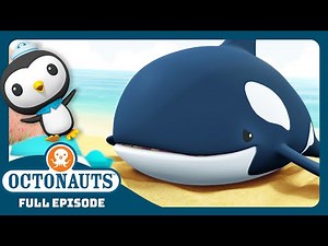 ‪@Octonauts‬ - 🏝️ The Orcas 🐳 | Season 1 | Full Episode | Cartoons for Kids