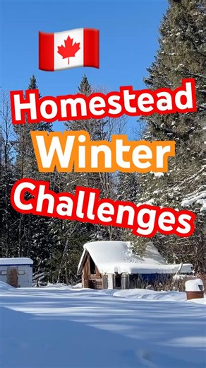 Canadian Winter Homestead Challenges