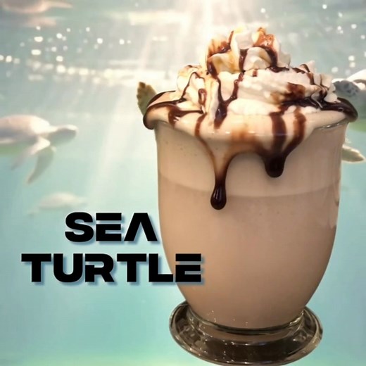 🌊🛸 **🚀 Blast Off with Our Most Popular Drink: The Sea Turtle!** 🐢✨ Join us on a cosmic flavor journey with our signature creation, the **Sea Turtle**! This fan favorite is a heavenly mix of rich dark chocolate, decadent sea salt caramel, and creamy almond milk, all coming together for a taste experience that’s truly out of this world! But that’s not all! Each Sea Turtle comes with Alien love, adding an extra touch of care to your sip. Get ready for a flavor adventure that’s light-years ahead