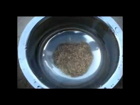 How to recover gold from computer parts and other electronic devices