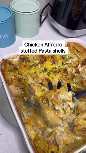 Delicious Chicken Alfredo Stuffed Pasta Shells Recipe
