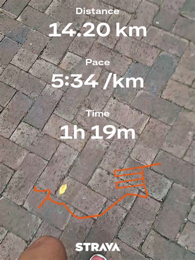 Last LSD Training Before My First Marathon