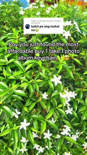 Replying to @Ashlee Nicole Pineda nagsale naa! photo album keychain most affordable in tiktok shop ❤️ #fyp #foryou #keychain #gift #giftideas