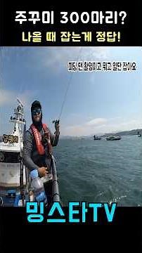 How to catch a lot of cuttlefish. Feeding is the key. #fishing #cuttlefish #boatfishing #boatfish...